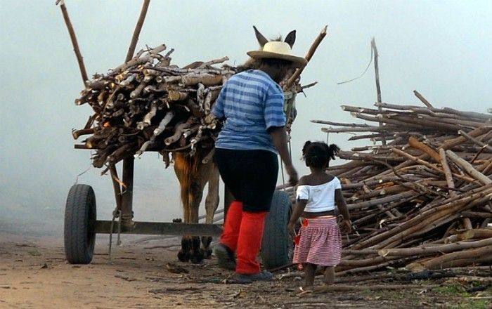 Dados Do Ibge Mostram Que Exploração Do Trabalho Infantil Volta A